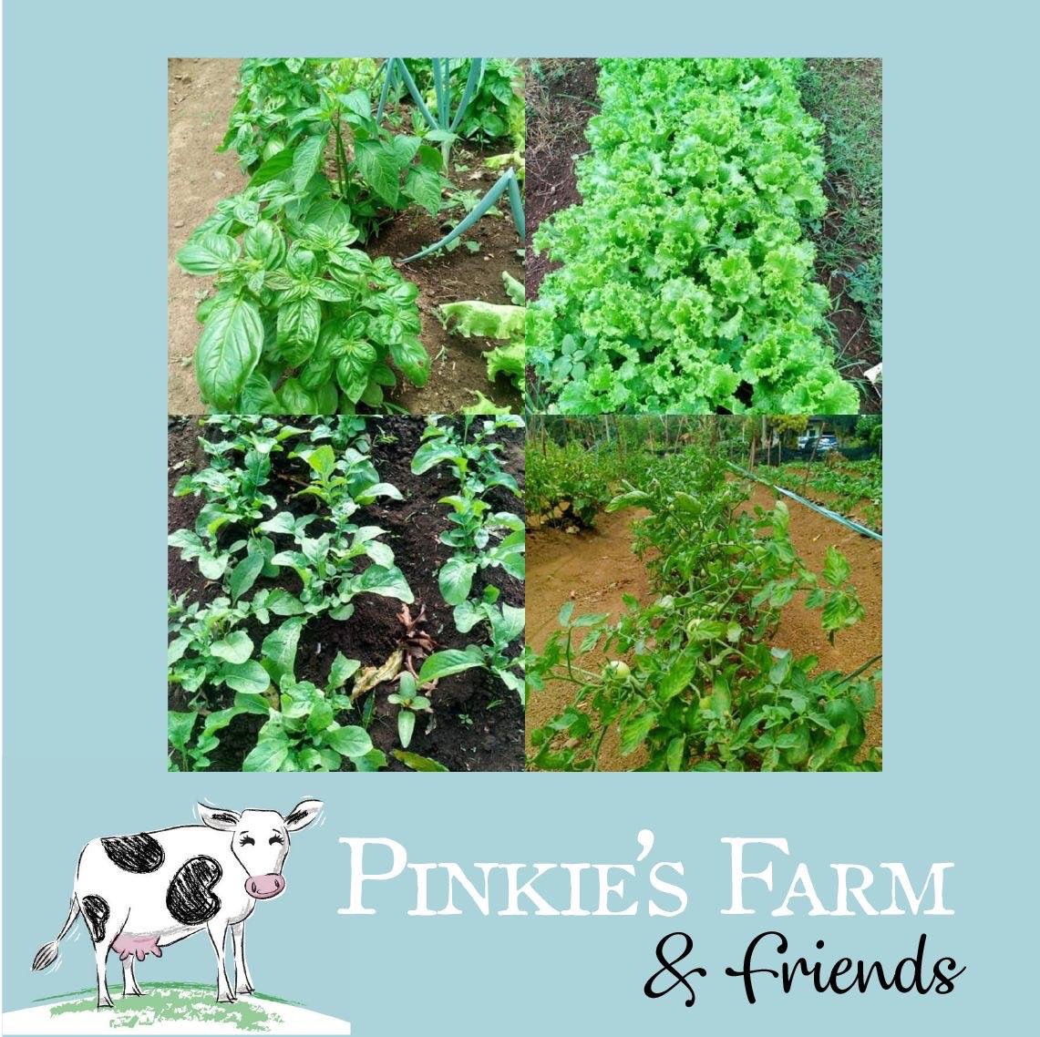 Who Are The Farmers In Our Neighborhood? – Pinkie's Farm