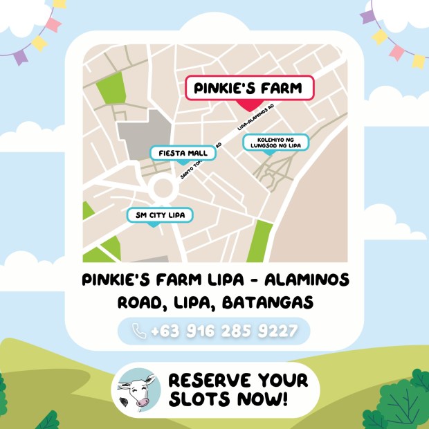 Farm Adventure – Pinkie's Farm